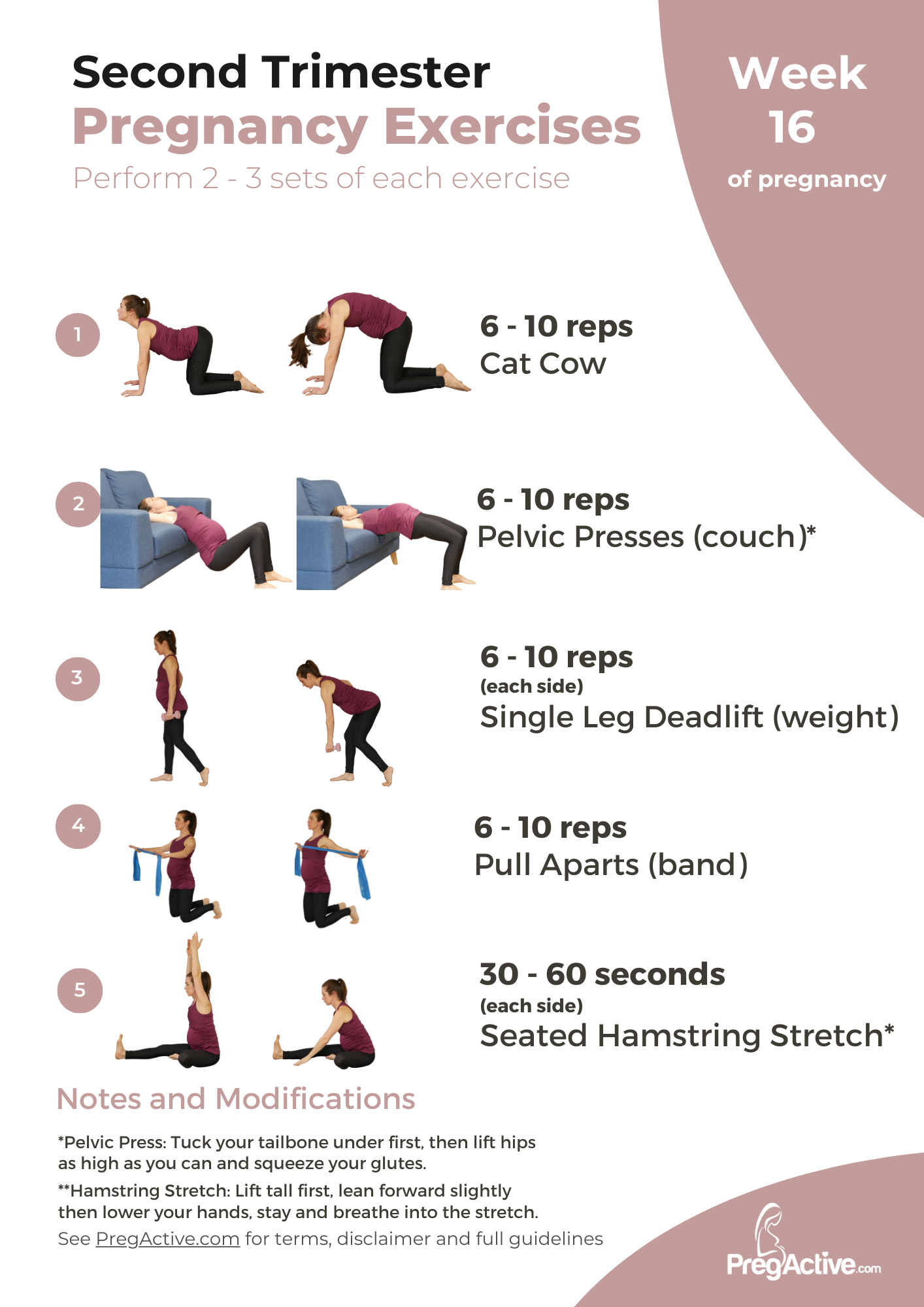 Pelvic Floor Exercises During Pregnancy Second Trimester Infoupdate Pelvic Floor Exercises During Pregnancy Second Trimester Infoupdate