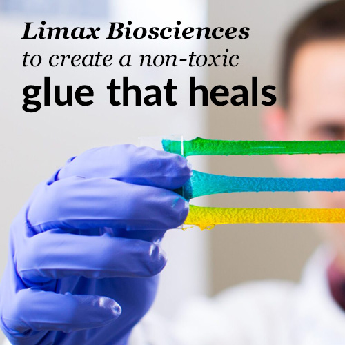 Ten Biomimicry Examples Breakthroughs from 2025