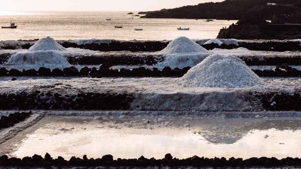 Heavy Metals in Salt: Third-Party Tested Options for Safe Consumption