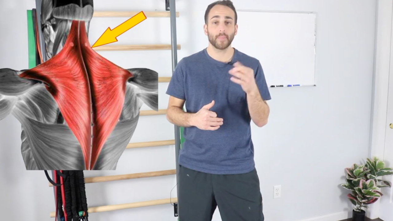 ONE Muscle You Can't Miss For Shoulder Strength!