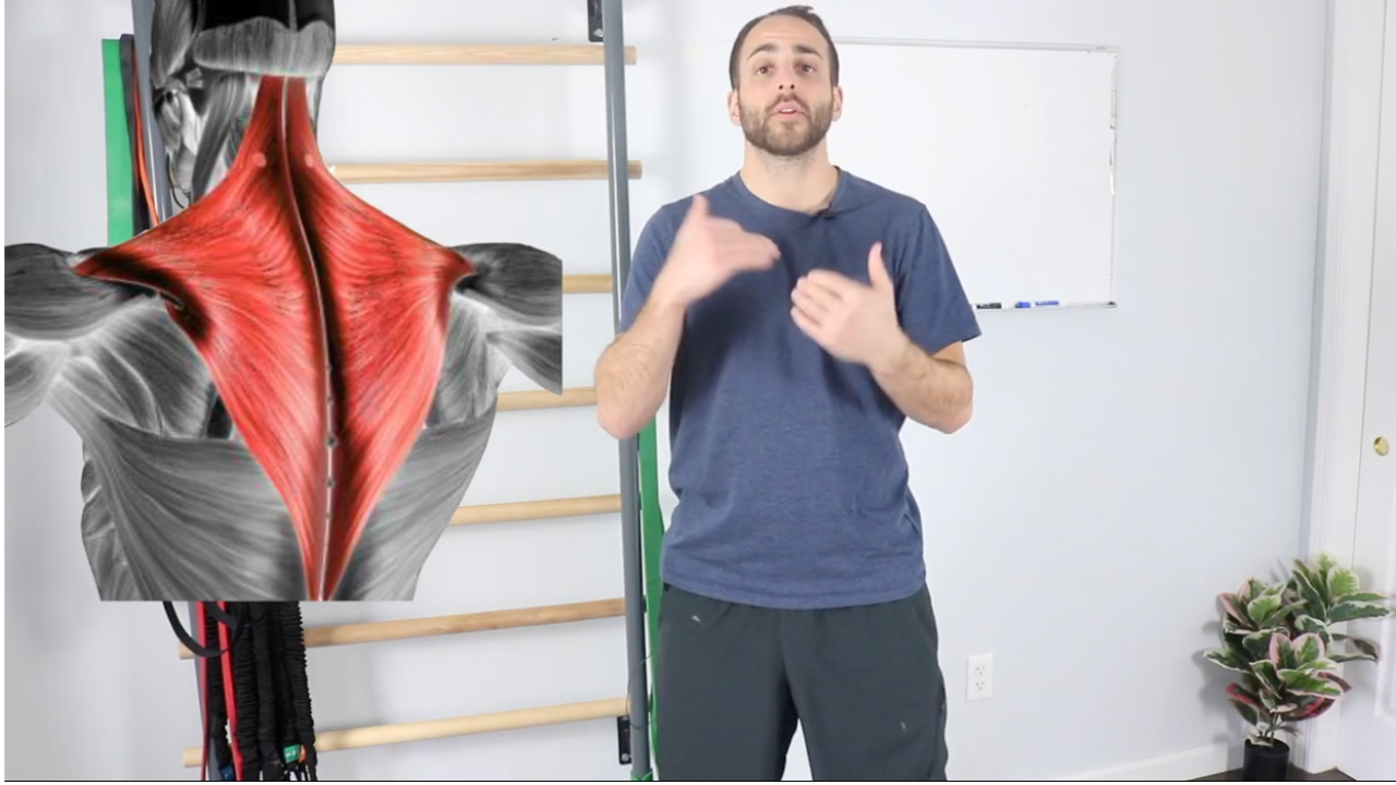 Unlock Explosive Shoulder Strength: The One Muscle You're Overlooking