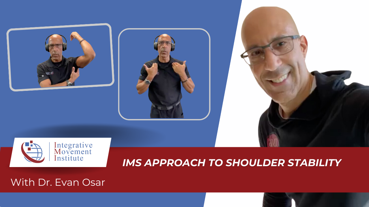 The Integrative Movement System's Approach to Shoulder Stability