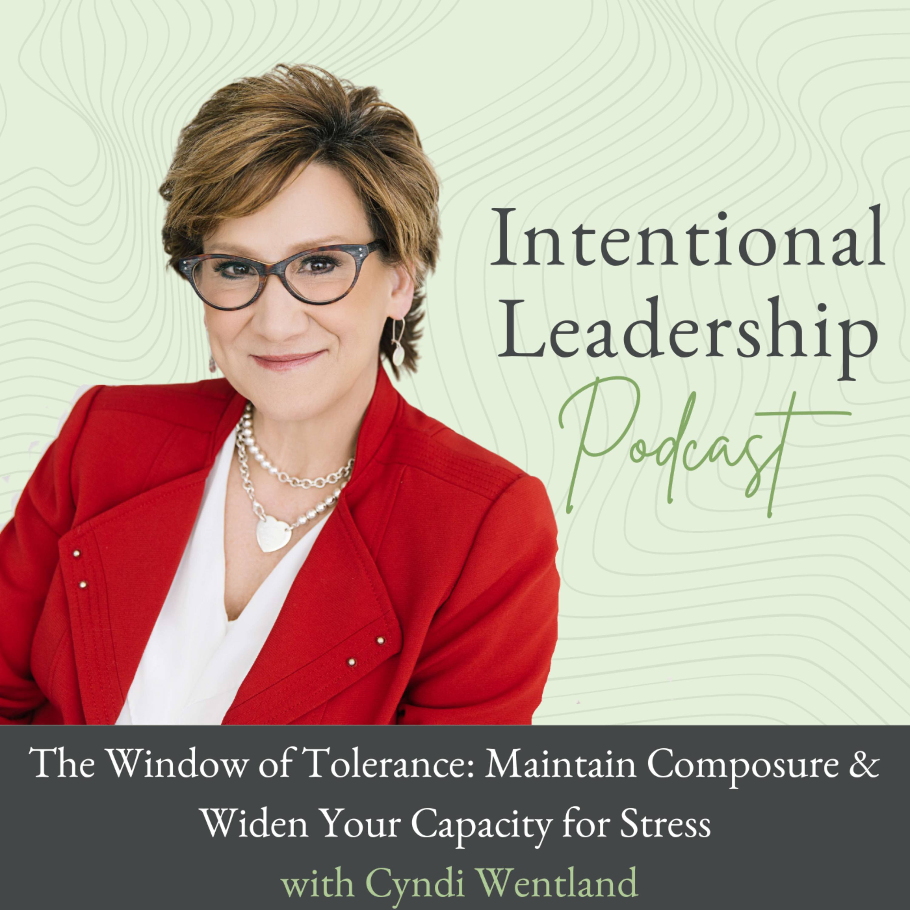 #135: The Window of Tolerance: Maintain Composure & Widen Your Capacity ...