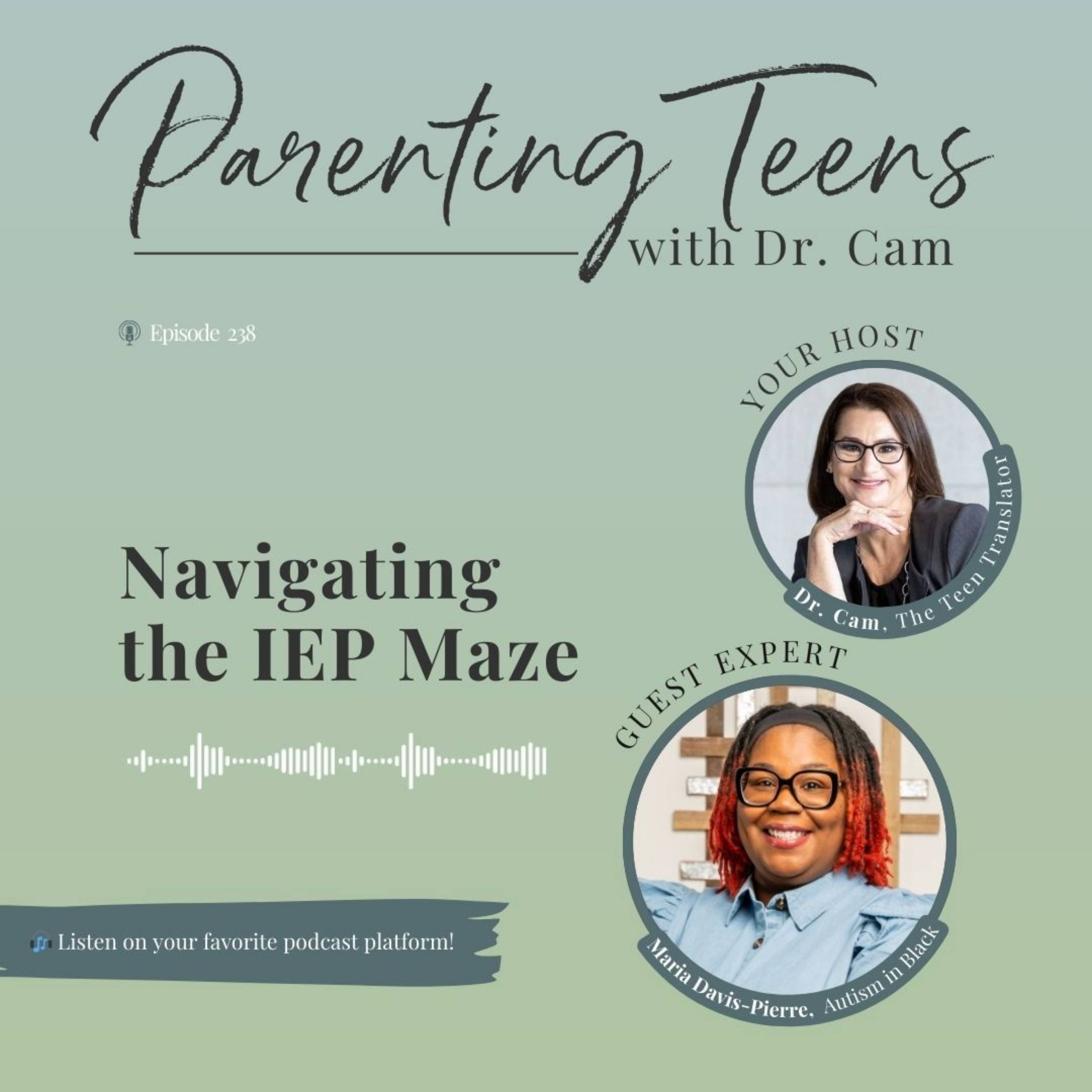 Navigating the IEP Maze: How to Advocate for Your Teen & Overcome ...