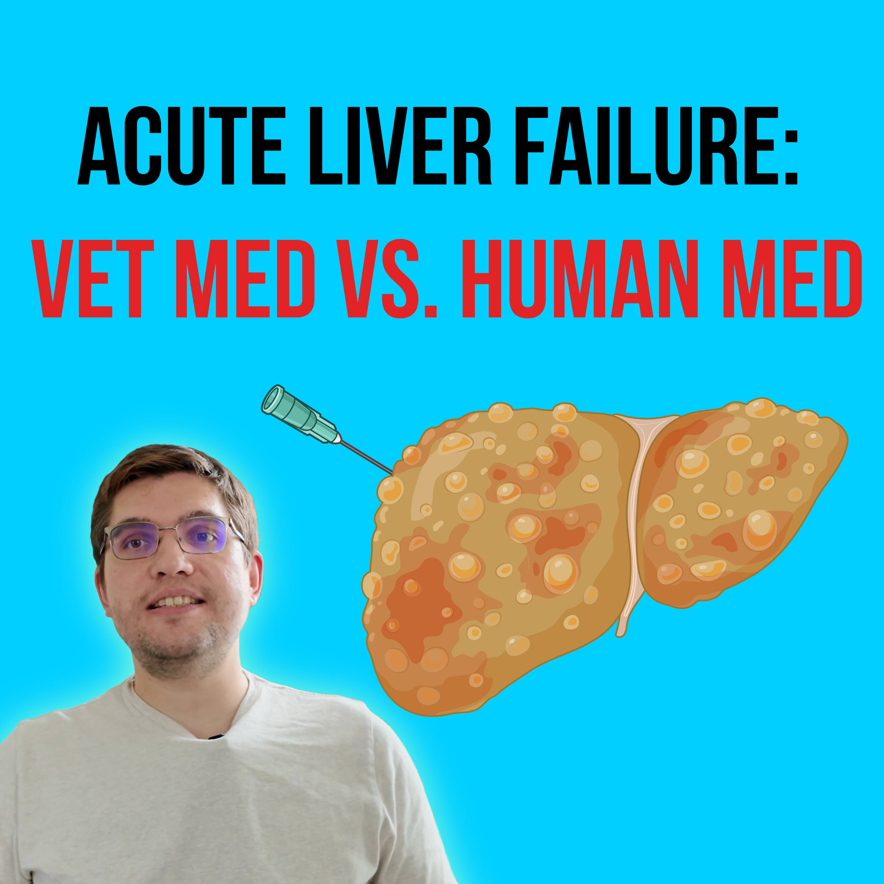 Episode 4: Acute Liver Failure in Dogs and Cats (Bleeding risks ...