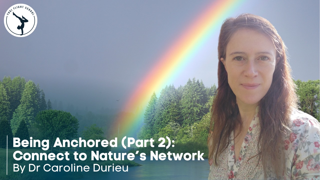 Being Anchored: Connecting to Nature's Network
