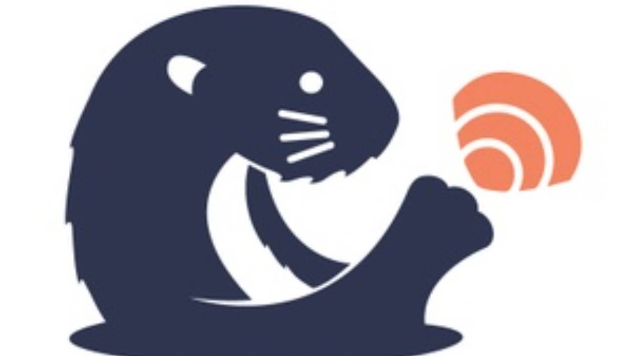 Digital Otter | Facebook and Instagram Advertising Experts