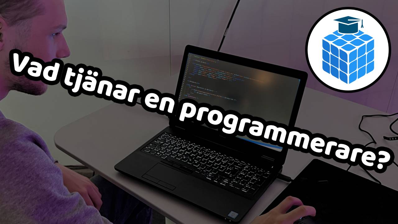 Vad tjänar en programmerare?!