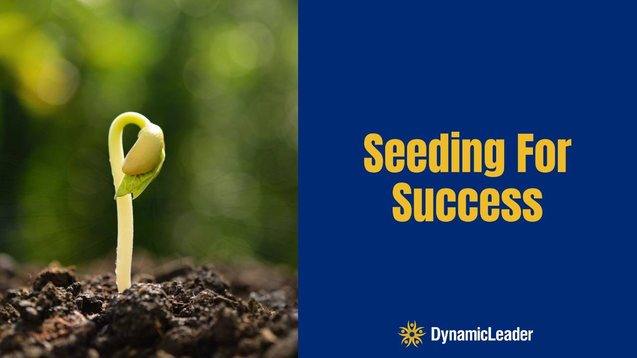Seeding for Success