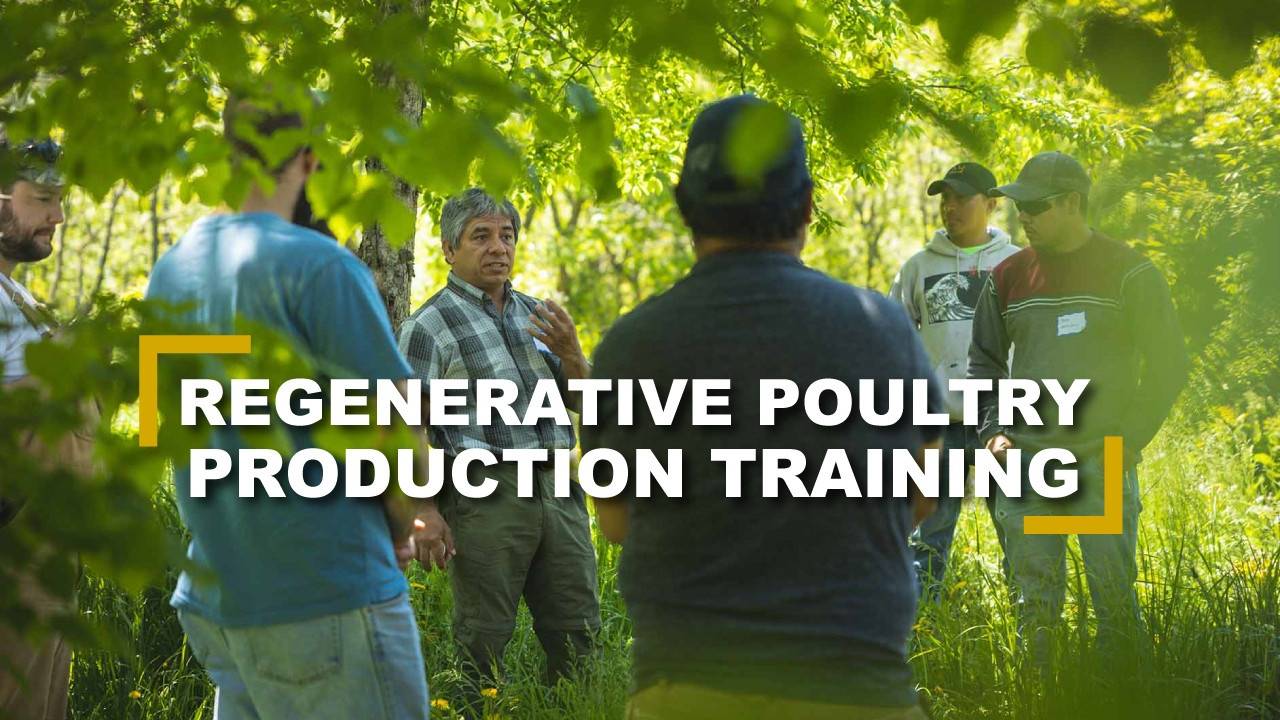 Regenerative Poultry Production RAA Training Program