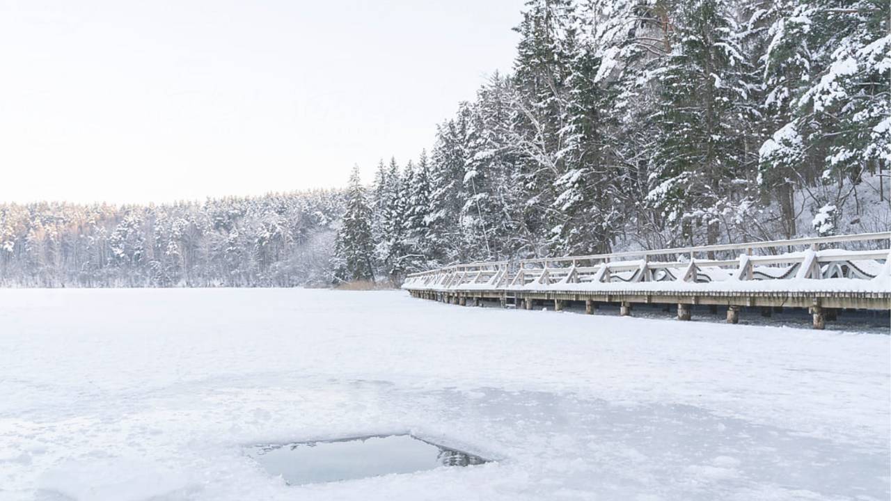 Why Cold Exposure is Worth The Hype