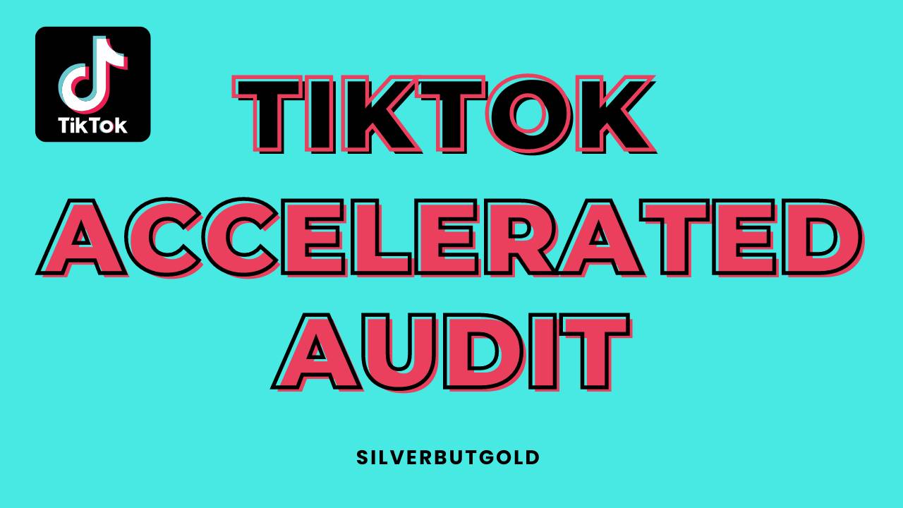 TikTok Accelerated Audit