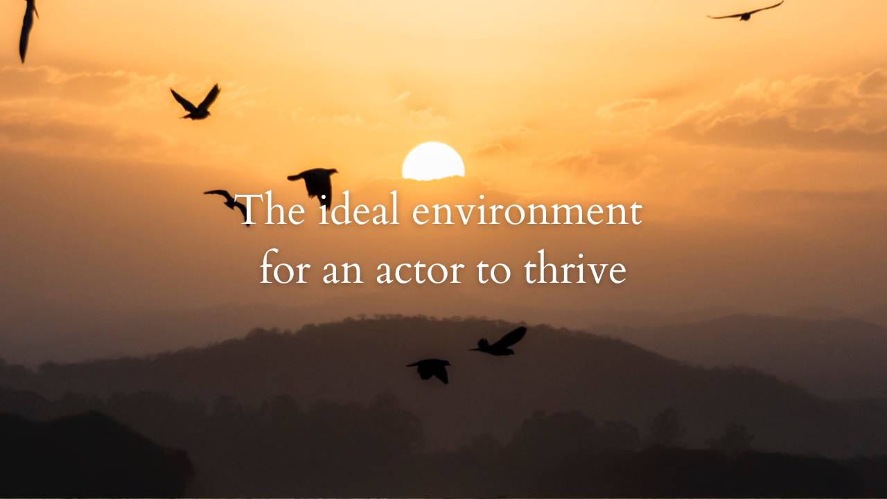 What's the ideal environment for actor to thrive?