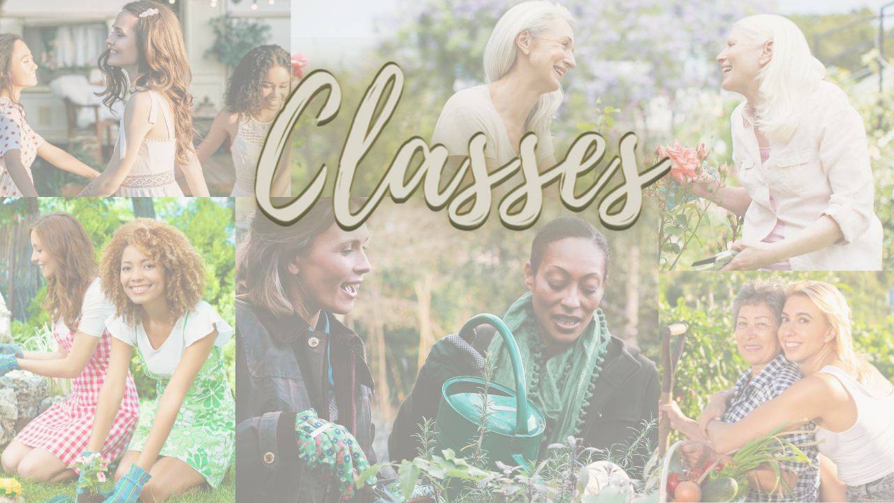 Classes 🌿 Community 🌿 Learn 🌿 Connect