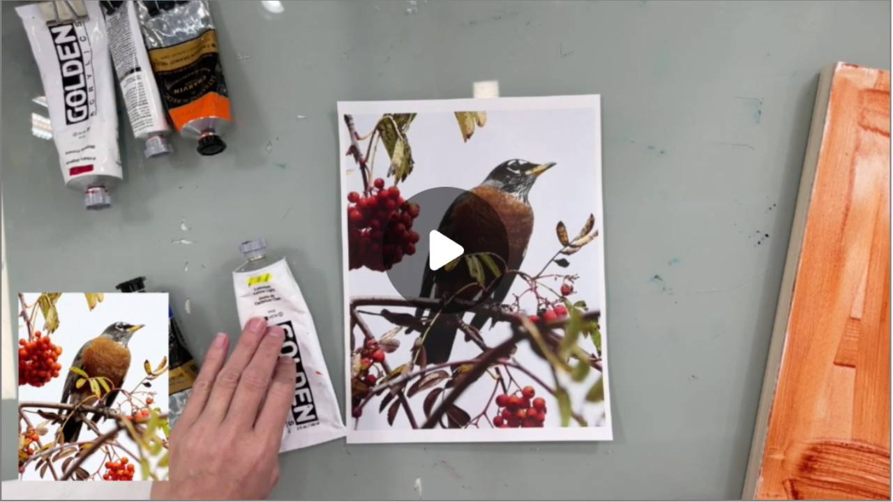 Winter Robin Part One