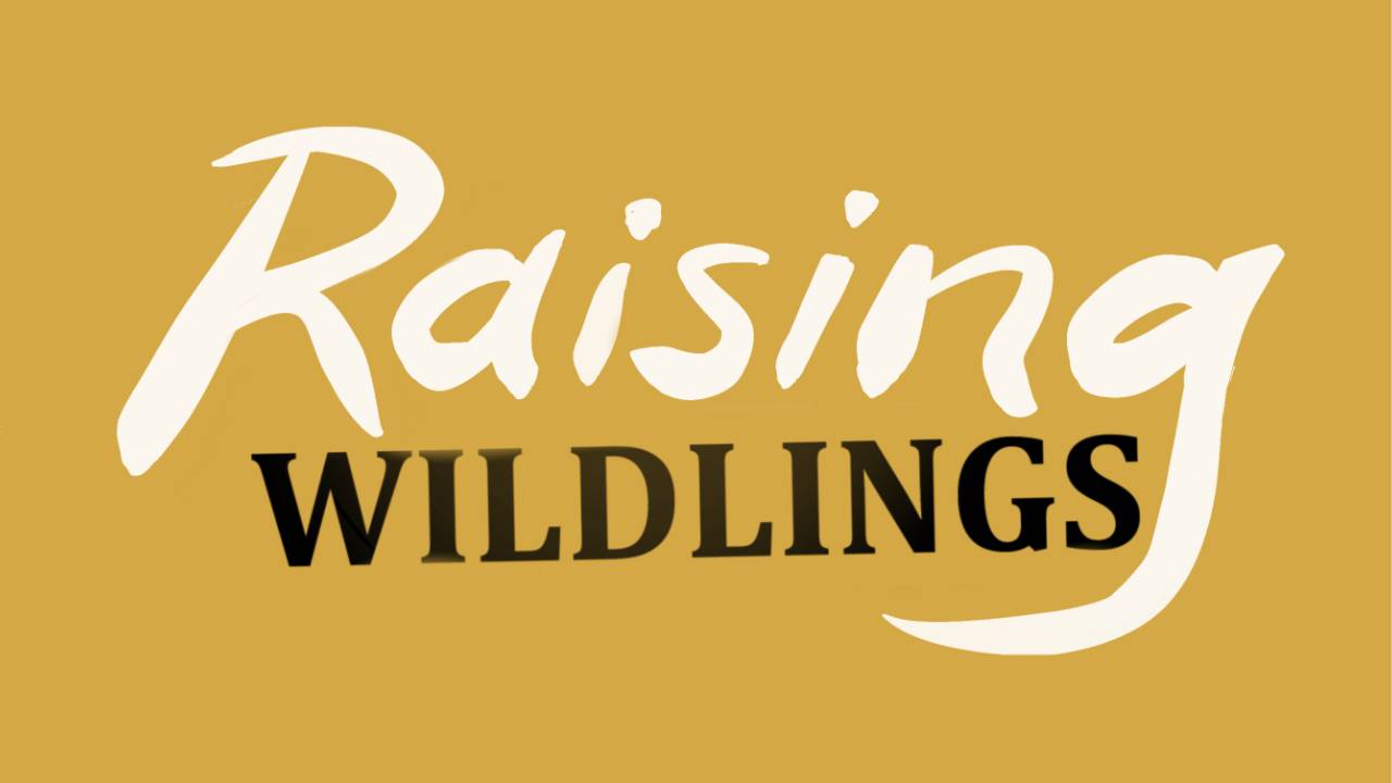 Alone With Dr Kate Grarock