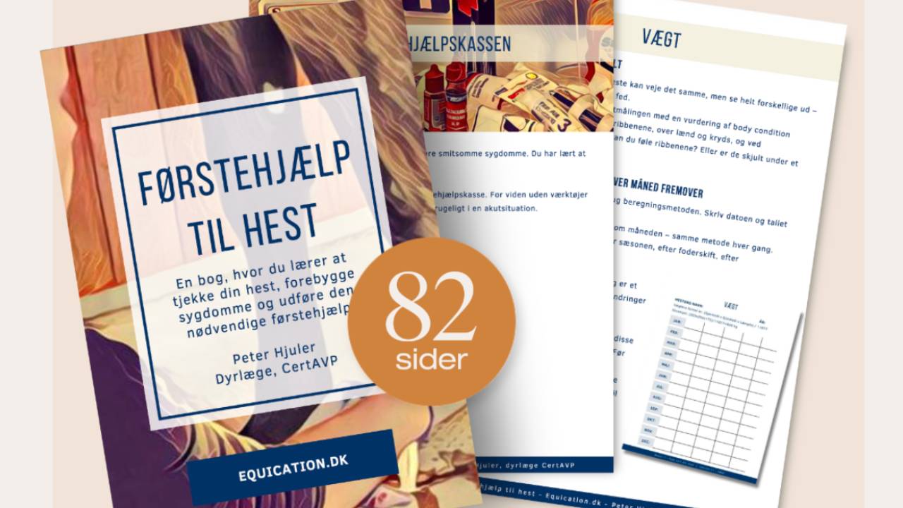 Førstehjælp til hest - Ebog kr 0,-