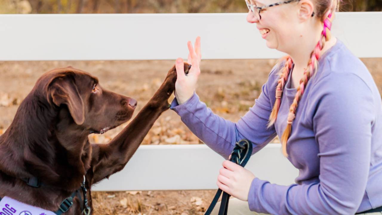 Delta Tails Pack Membership | Delta Tails