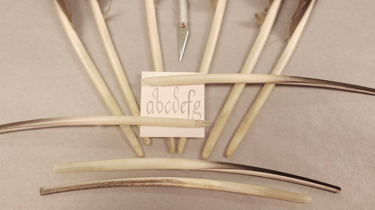 From Feather to Pen: The Art of Cutting Quills