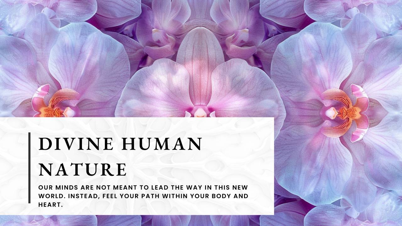 Embrace Your Divine Light: A Journey of Self-Discovery