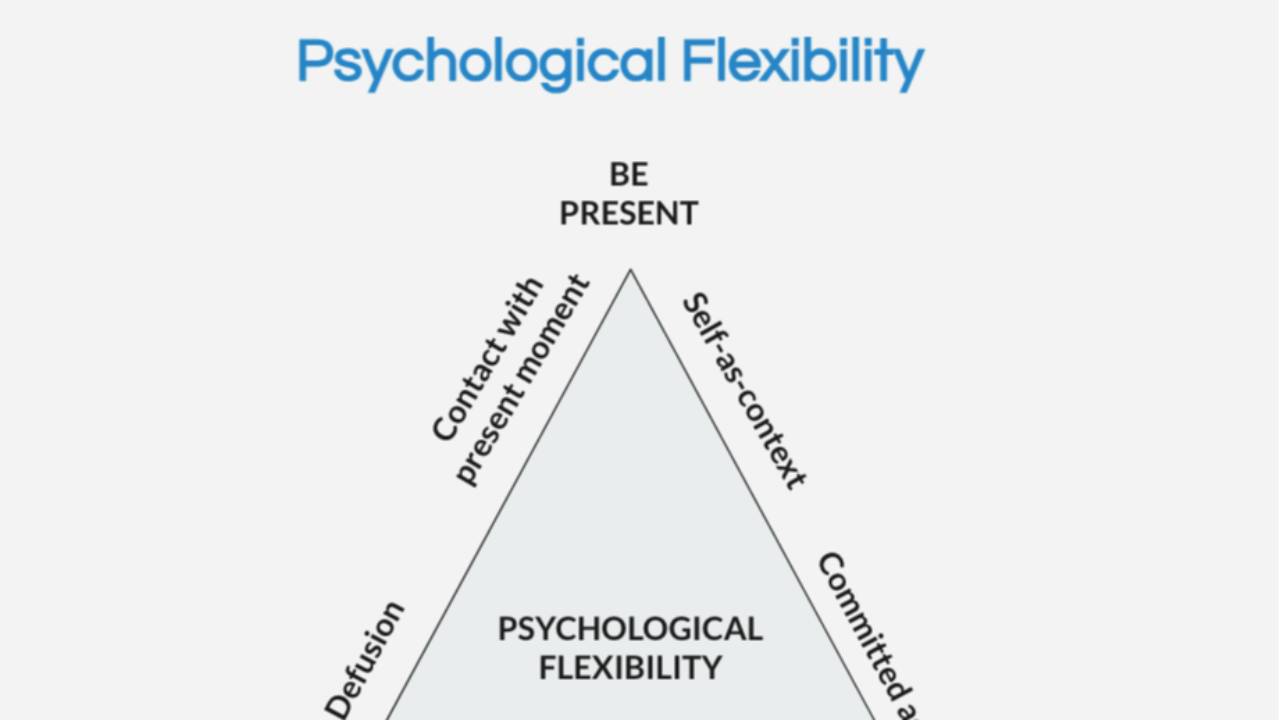 Essential Mental Health Skill for Well-being:Psychological Flexibility