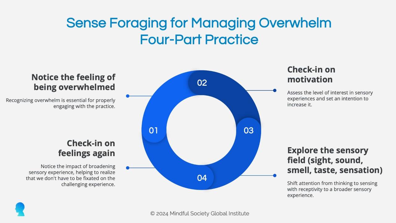 The Four-Part Sensory Strategy to Manage Overwhelm