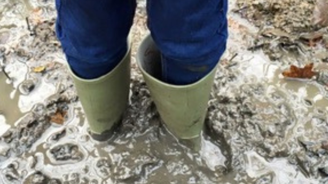 Full Course: A brief guide to working in the EYFS