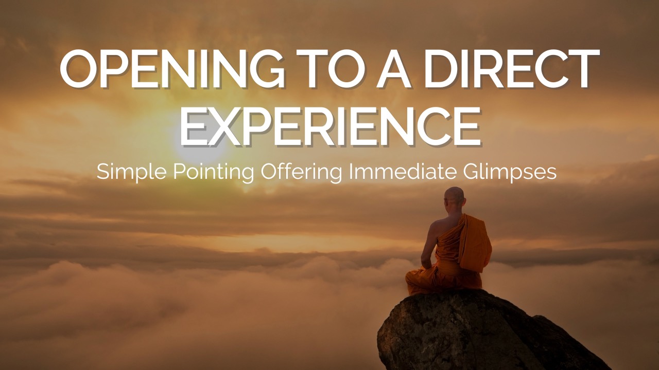 Opening to a Direct Experience