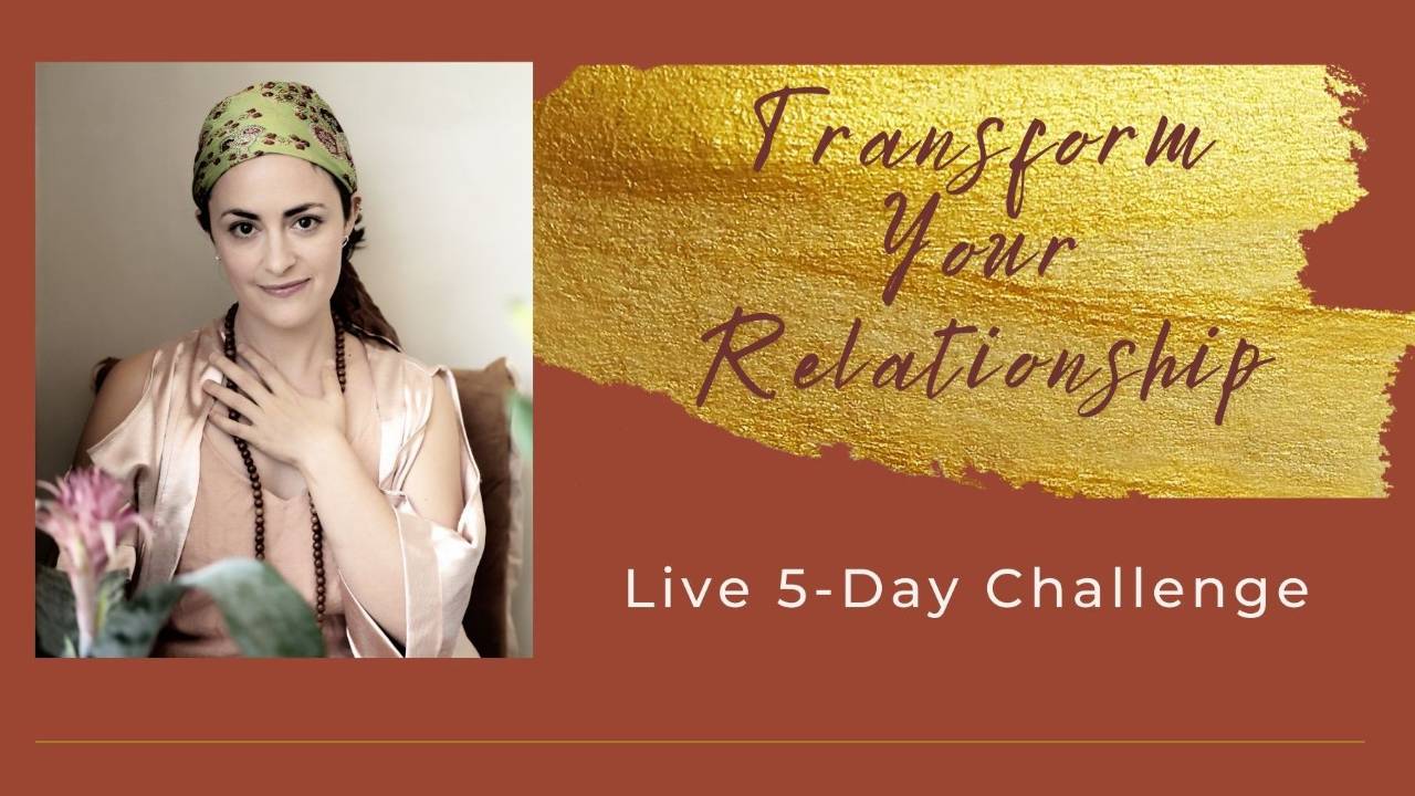 Relationship Transformation Challenge Waitlist Form