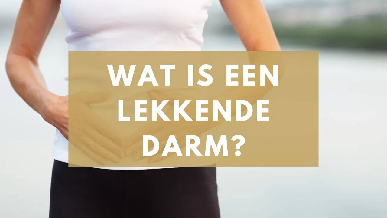Wat is een lekkende darm?