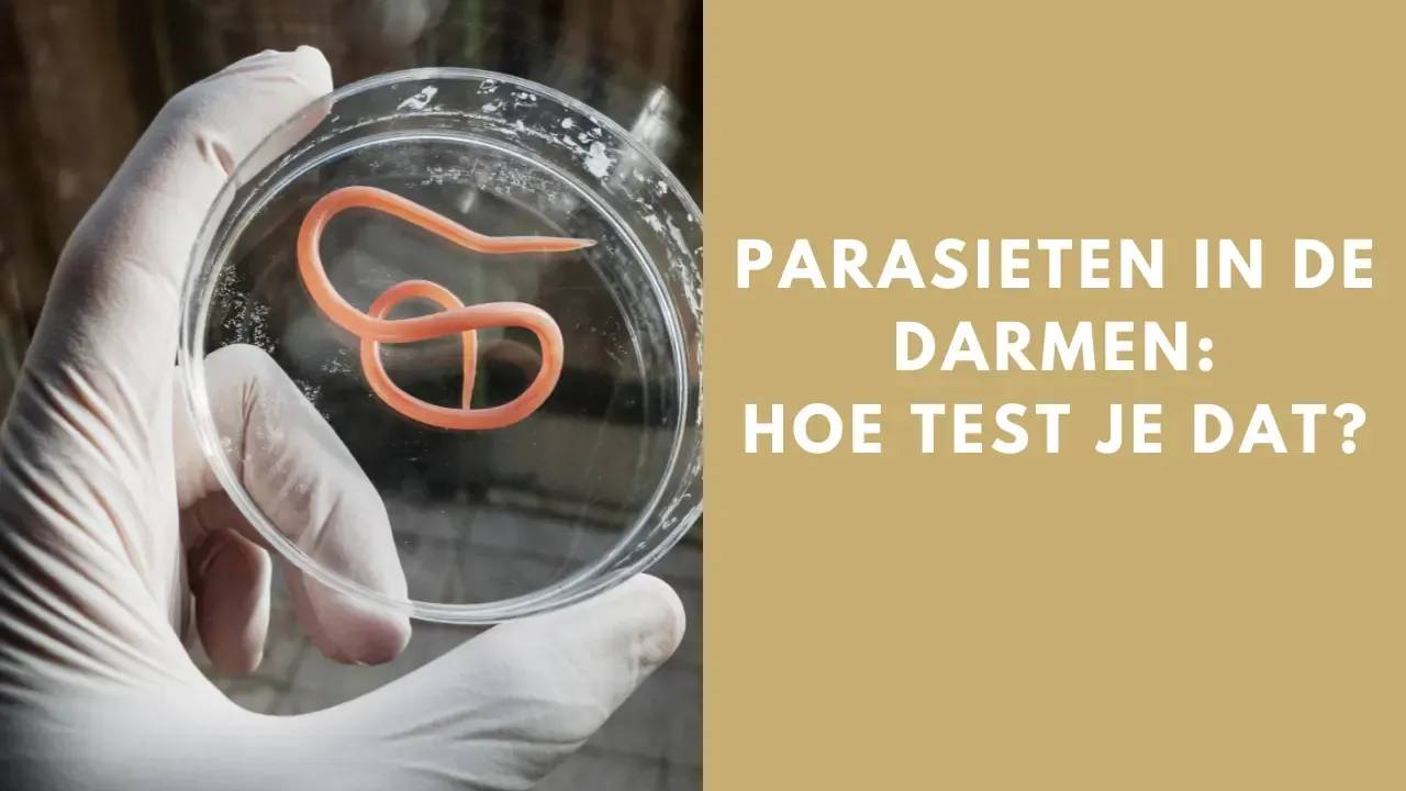Parasieten in de darmen: hoe test je dat?