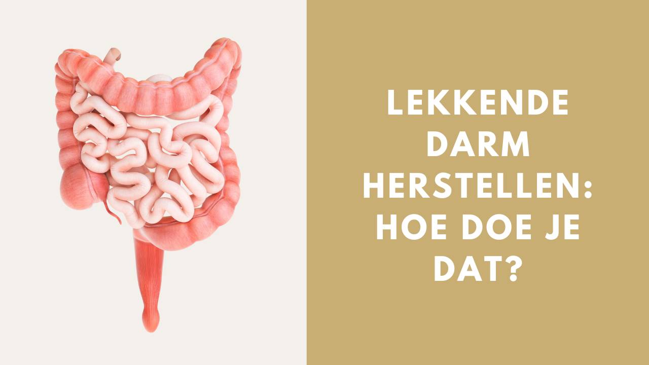 Lekkende darm herstellen: hoe doe je dat?