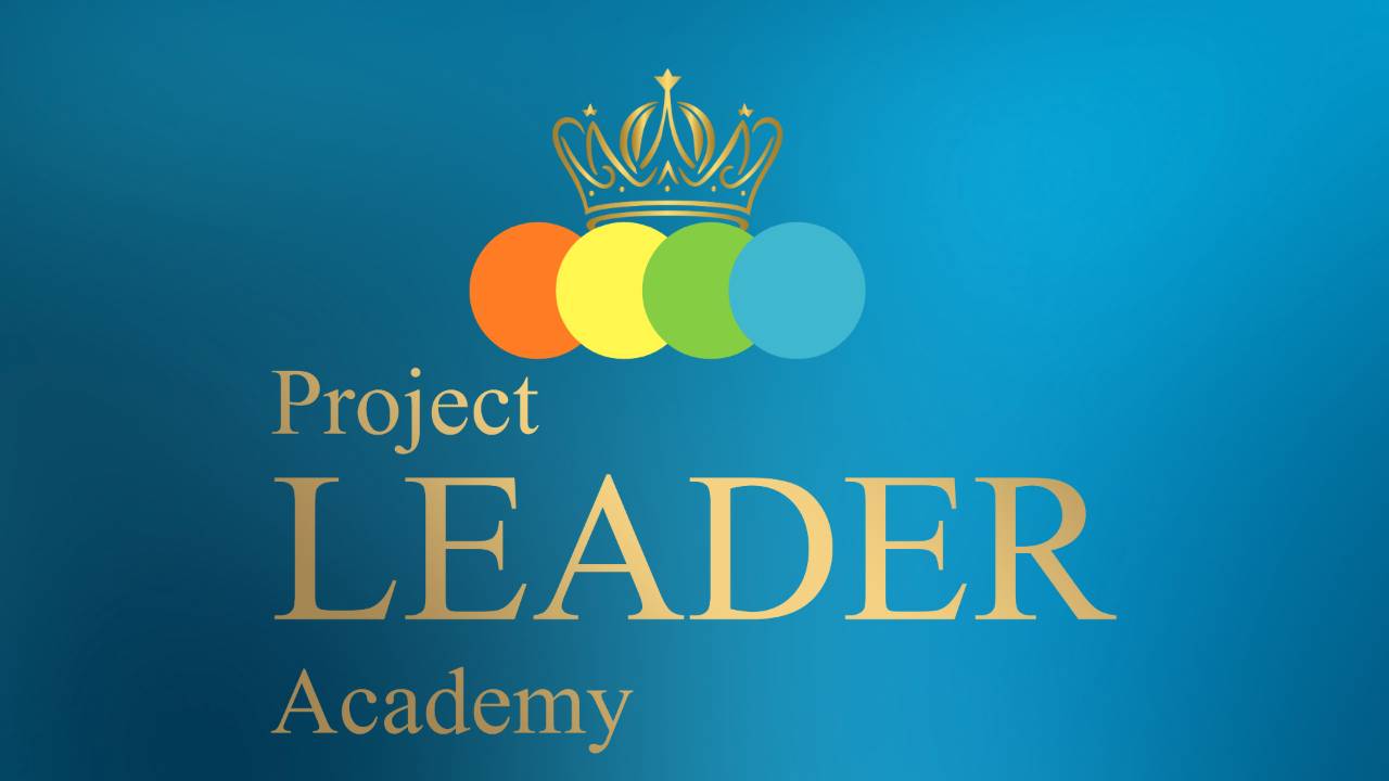 Project Planning, Sales & Leadership Tips for CEOs & Experts