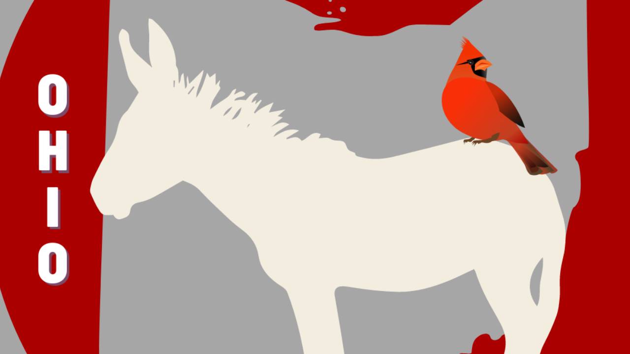 Ohio Donkey Hoof Clinic