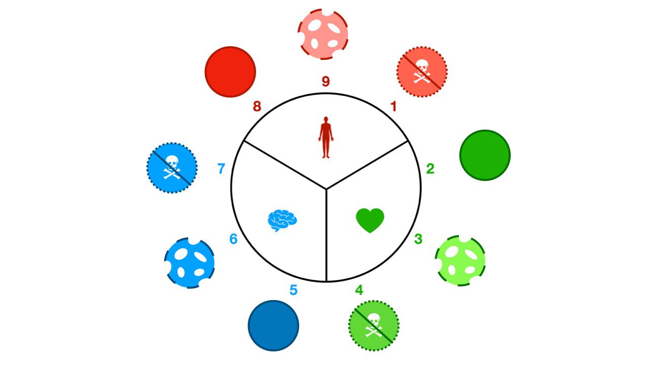 Developmental View of the Centers & Object Relations