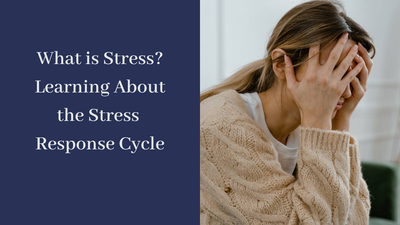 What is Stress? Learning About the Stress Response Cycle