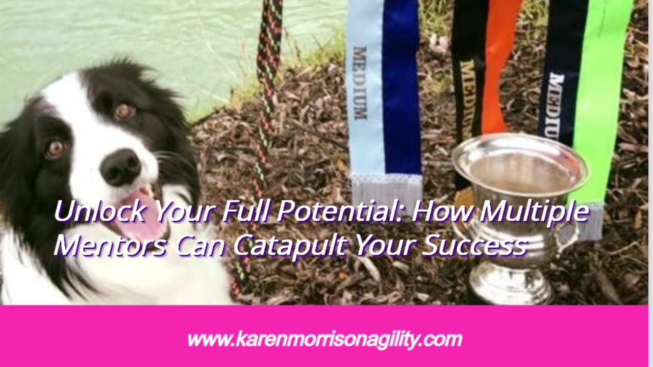 Unlock Your Full Potential: How Multiple Mentors Can Catapult Your Success