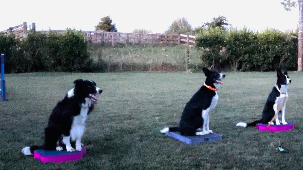 Are you a Lumper or a Splitter? Find out NOW!