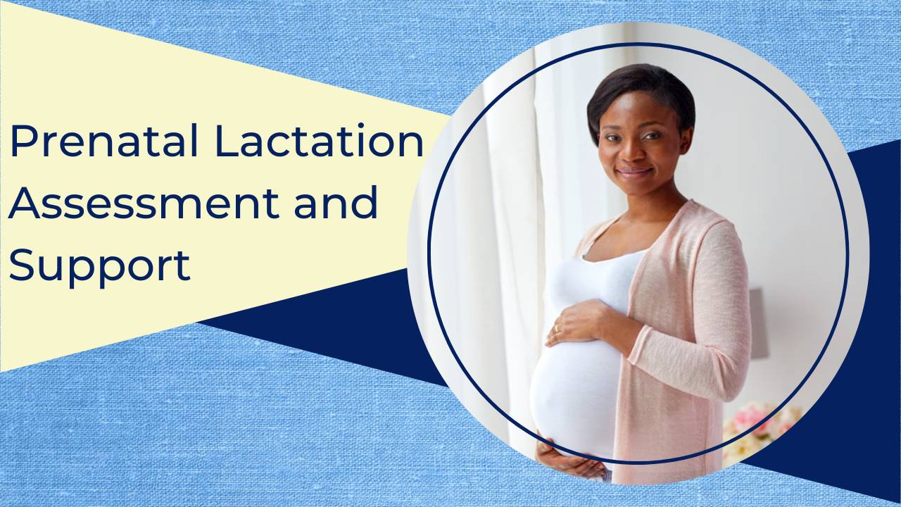 Prenatal Lactation Assessment Online Course