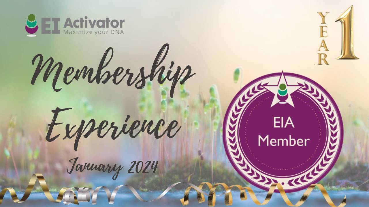 EIA Member Experience December 2022