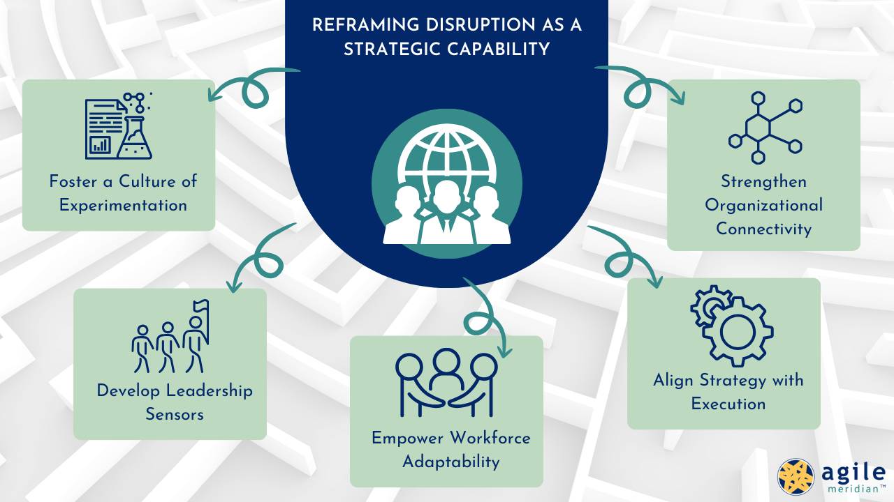 Reframing Disruption as a Strategic Capability