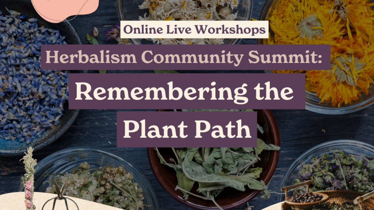 Herbalism Community Summit: Remembering the Plant Path