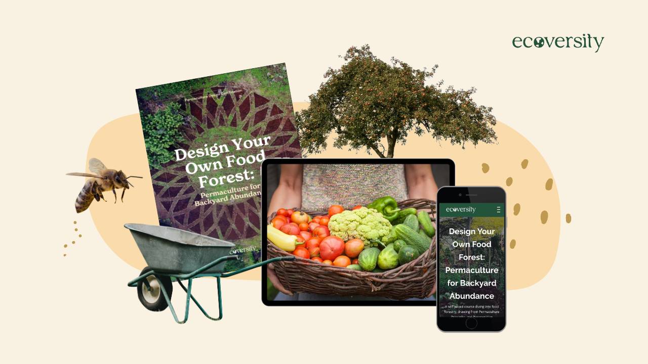 Ecoversity | Design Your Own Permaculture Food Forest