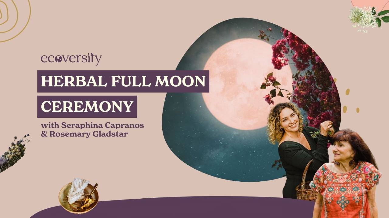 April Pink Full Moon Ceremony Recording [Recording]: Ecoversity