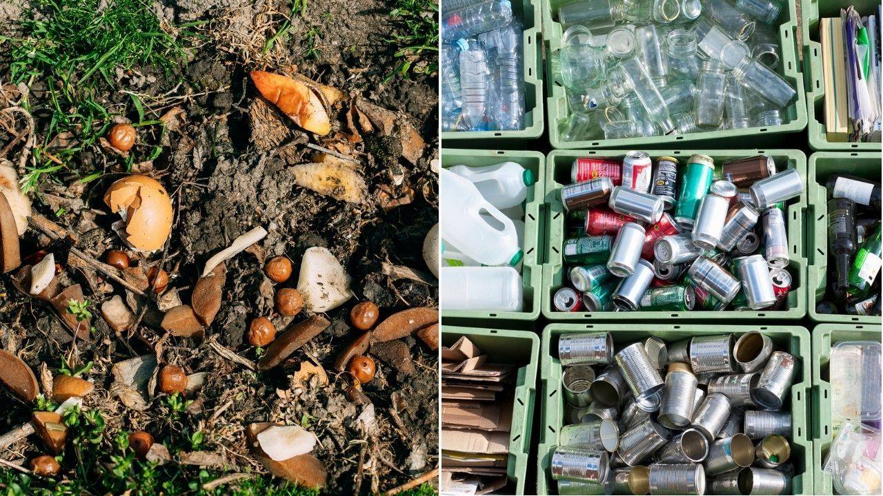 Composting vs. Recycling: Understanding the Differences