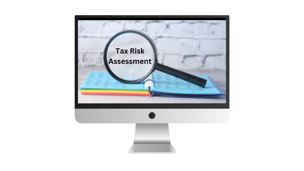 Tax Risk Assessment