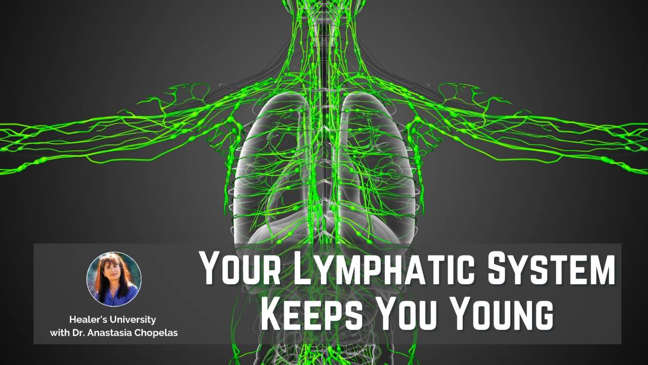 Protecting Your Body from Invasion Keep Your Lymphatic System Healthy