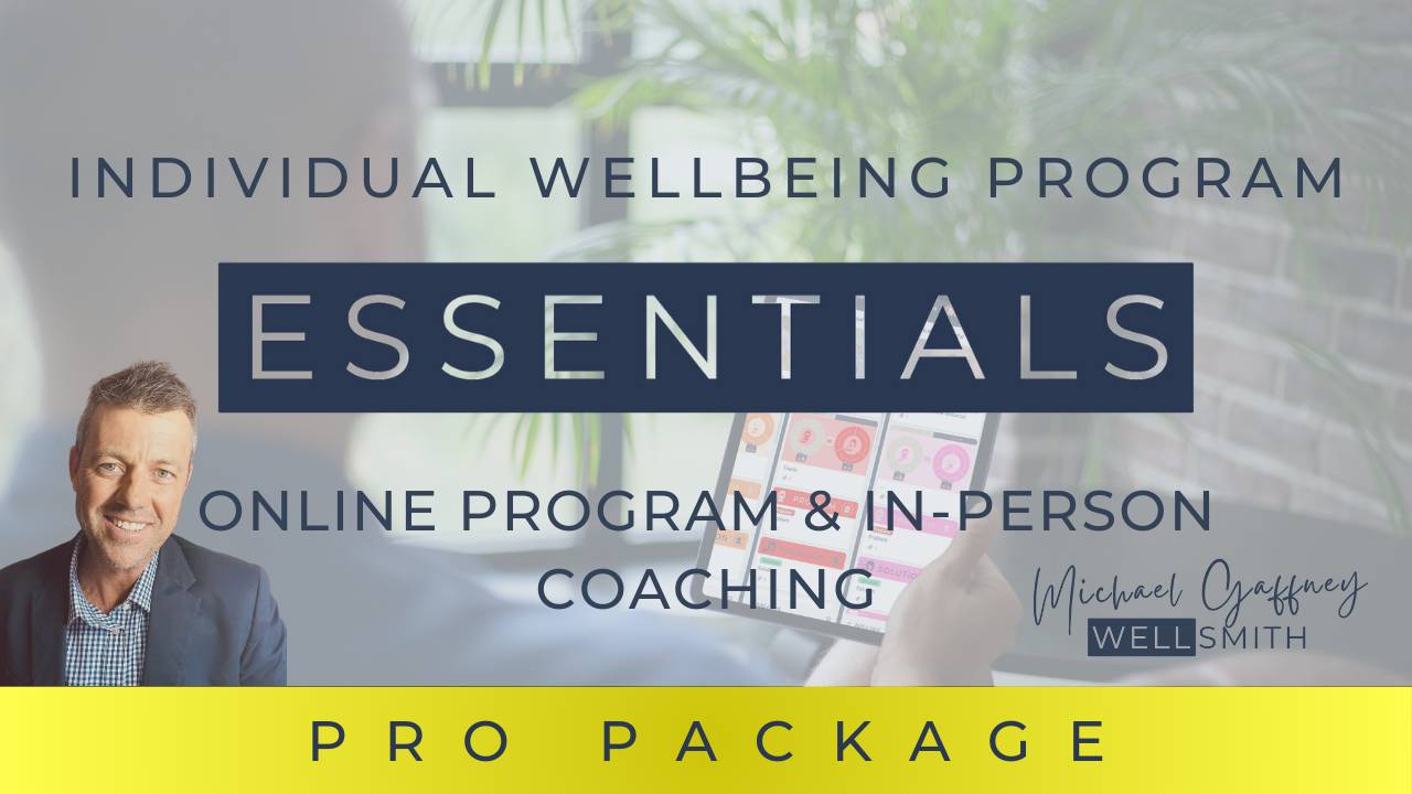 Wellsmith - Self Development Individual Programs