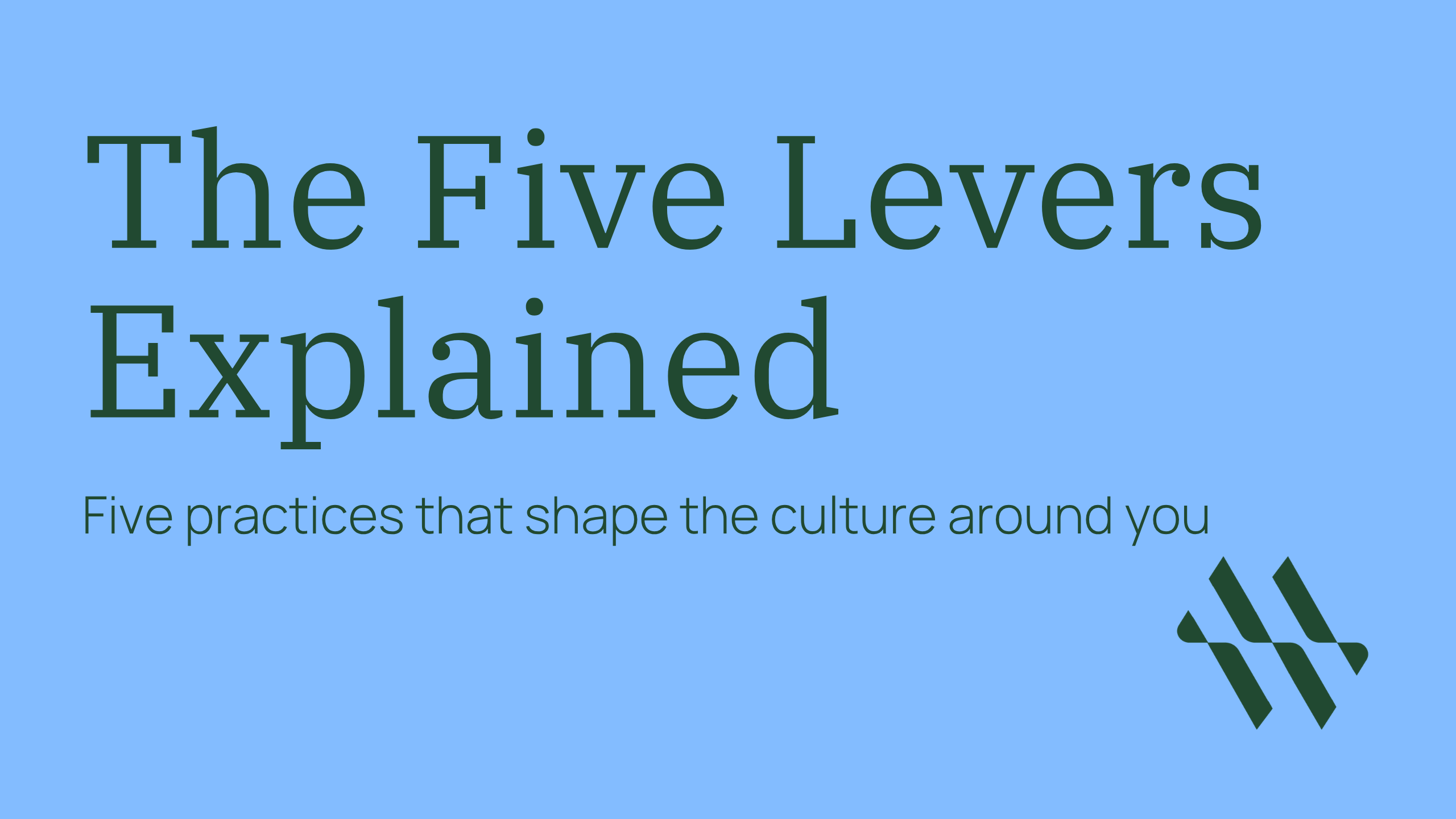 The Five Levers Explained | Meredith Wilson