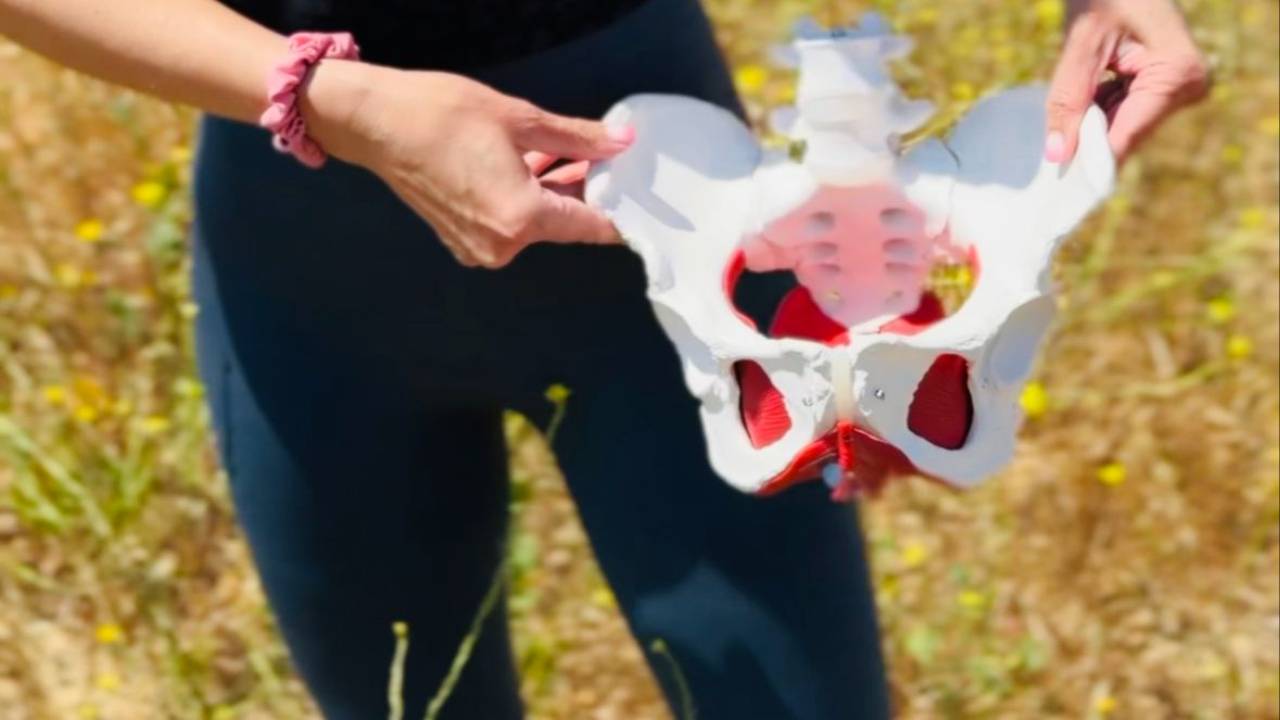 The 5 Functions of Your Pelvic Floor